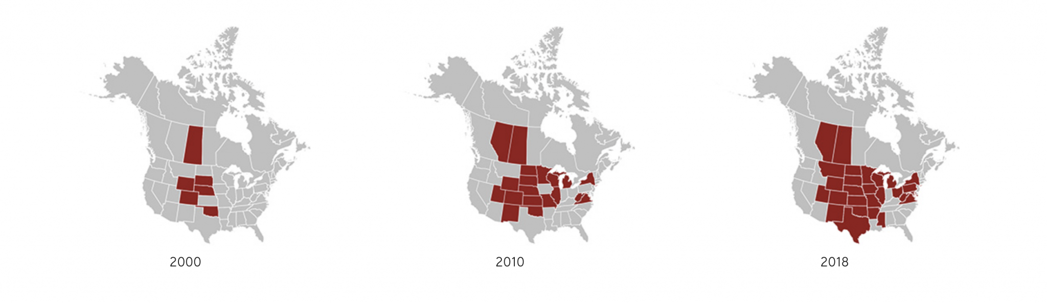 Chronic Wasting Disease (CWD) In The South | Legacy Wildlife