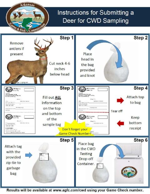 Chronic Wasting Disease (CWD) In The South - Legacy Wildlife